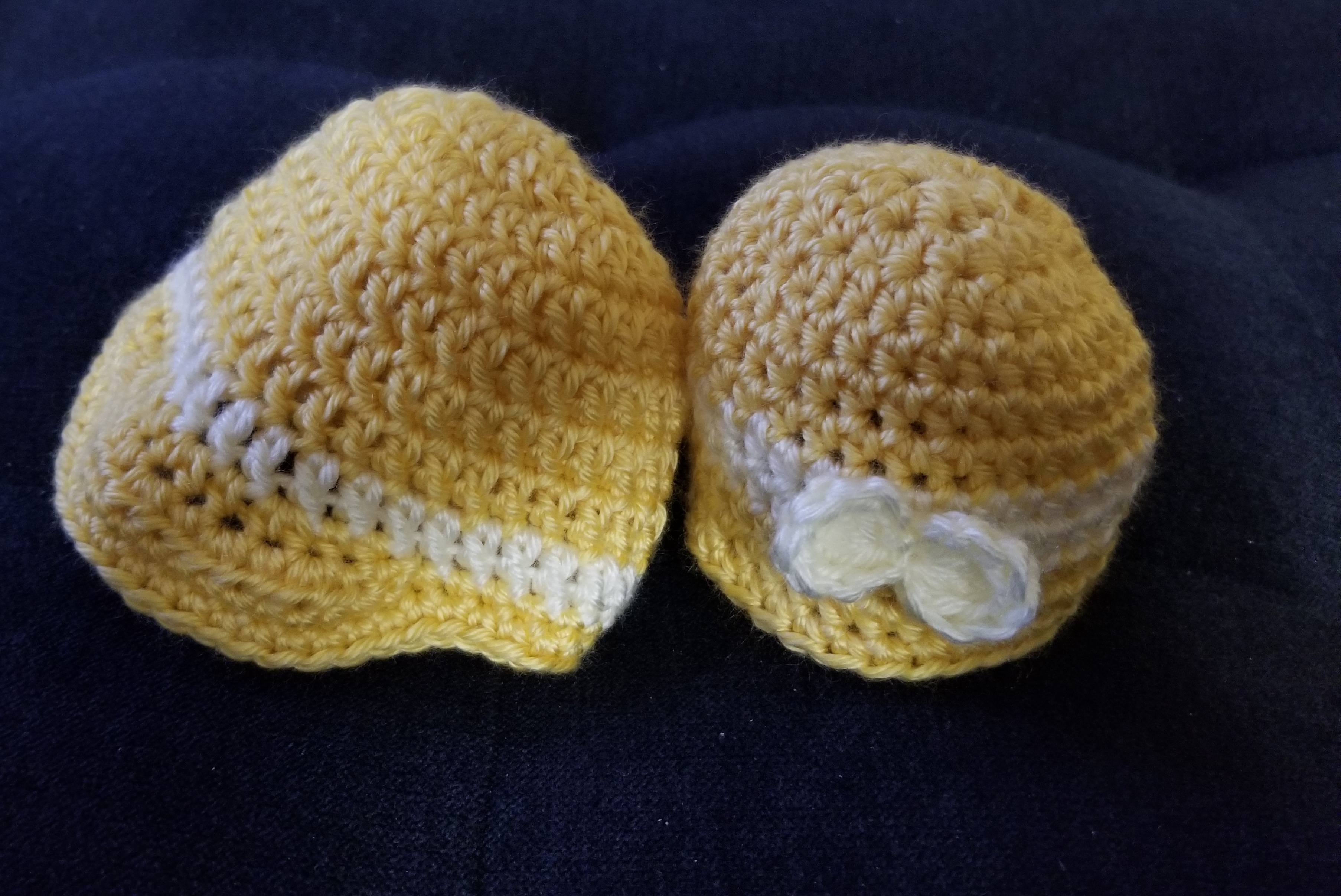 Quarantine Diary 5: Guilt, grandmothers, and gratitude – Lorie Smith ...