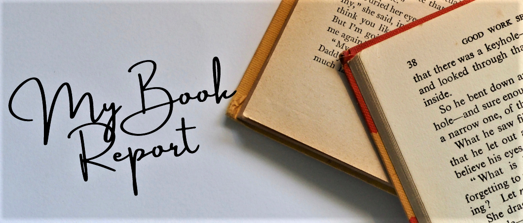 Book Report: Just in case you need it – Lorie Smith Schaefer